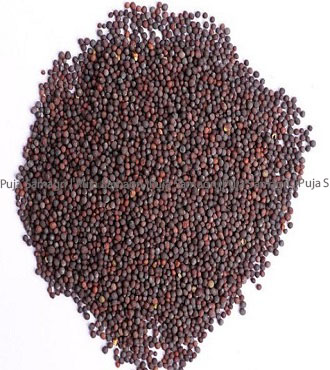 kr-Black Mustard Seed/Rayo (रायो) 500g | Puja Samagri